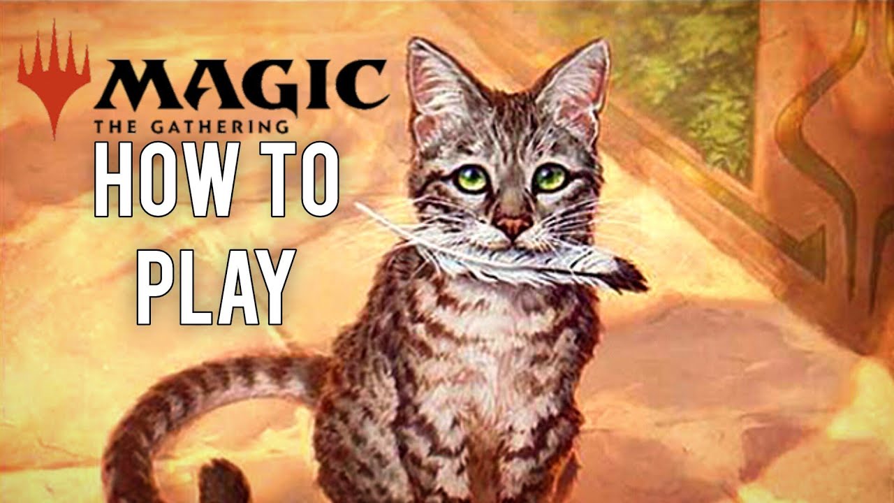 How To Play Magic: The Gathering (2025) | MTG Quick Walkthrough - YouTube