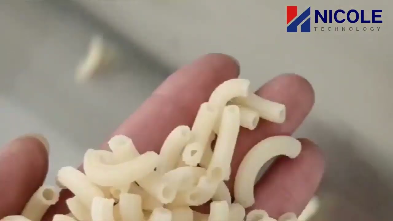 Penne Screw Shell Italian Pasta Macaroni Making Machine Plant - YouTube