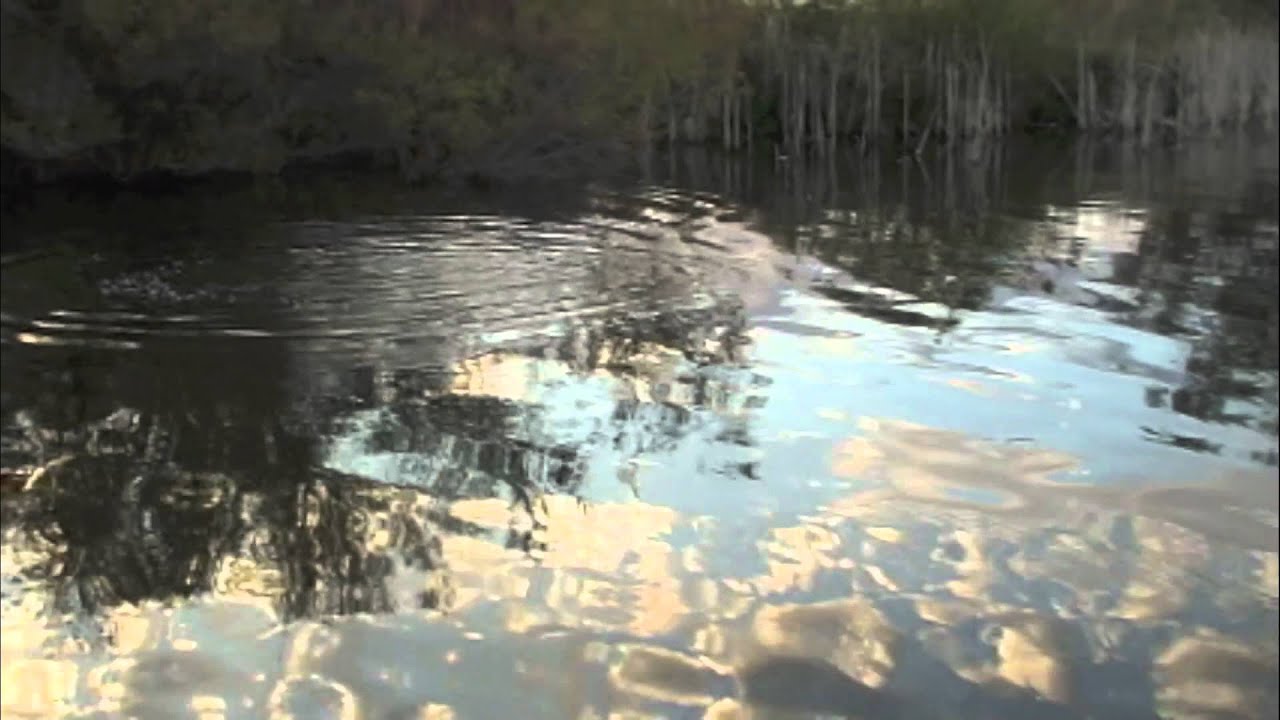 Kelsey Bass Ranch with Bub Tosh & Paycheck Baits - YouTube