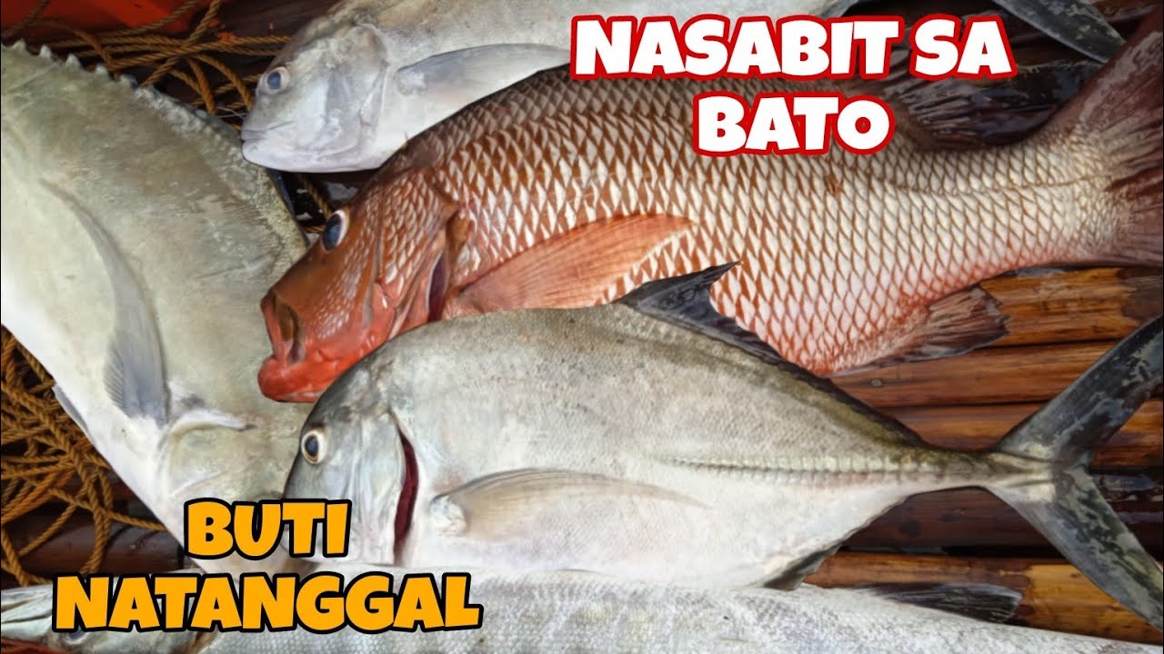 NAKASABIT NA SANA SA BATO, BUTI NALANG NATANGGAL PA | FISHING ...