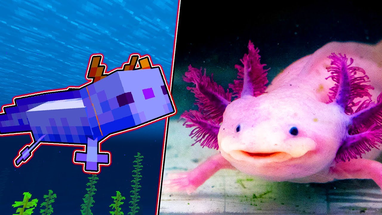 Rosie No Minecraft Da Vida Real Bioshock Mobs: Big Daddy Rosie