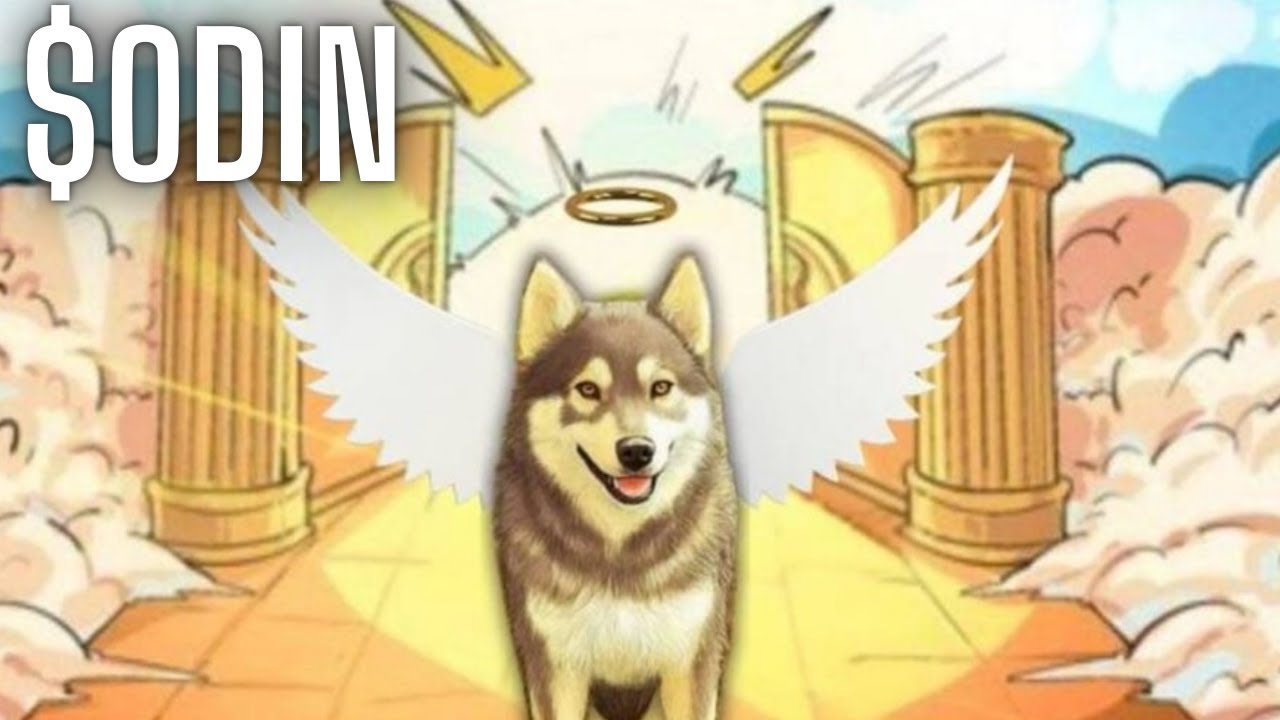 Odin | Justice For Odin The Dog - The Next $PNUT? - YouTube