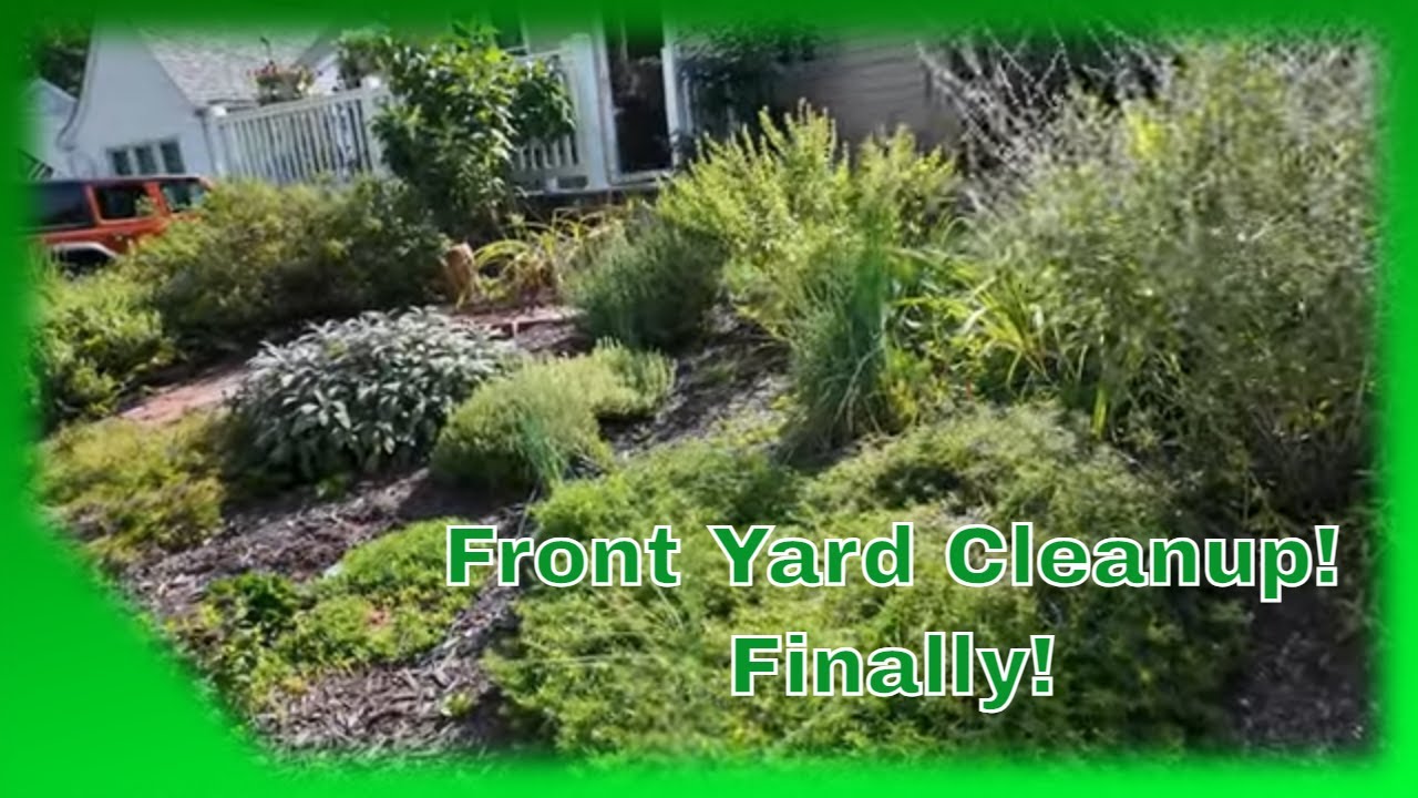 Watch This Front Yard Go From Mess to Success - YouTube