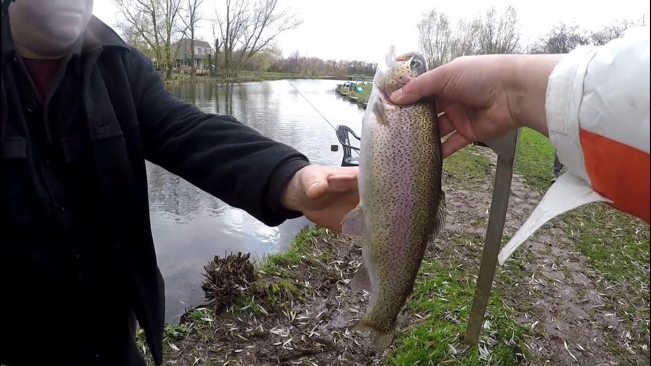 kalmaxze tevzaoba holandiashi || Fishing The BEST Trout || 4k - YouTube