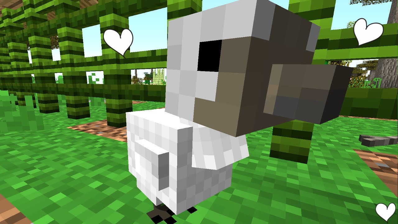 Baby Dodo Roost! 🐣 🌋 | Animal Land Minecraft - YouTube