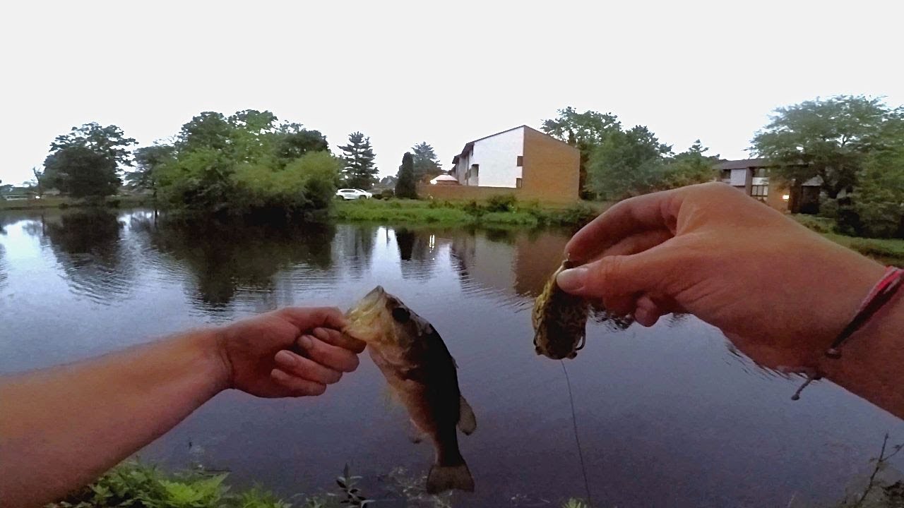 Fishing A FROG With NO LEGS - YouTube