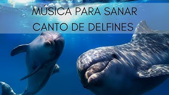 MUSICA DE SANACION CON SONIDO DE DELFINES Y BALLENAS 🐋 MÚSICA DE RELAJACIÓN 🐬 CANTO BALLENAS 432 ...