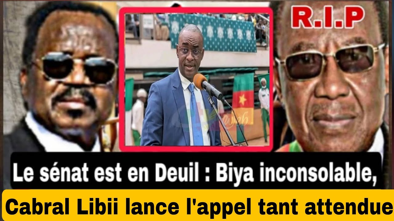 Le Sénat pleurer : Le Cameroun en Péril : L'Appel Désespéré de Cabral Libii pour Éviter la Chute ...