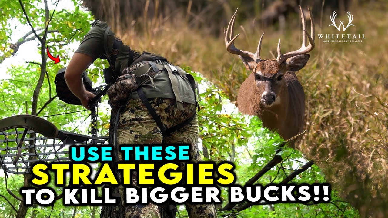 Use these 3 Strategies to Kill BIGGER BUCKS!! - YouTube