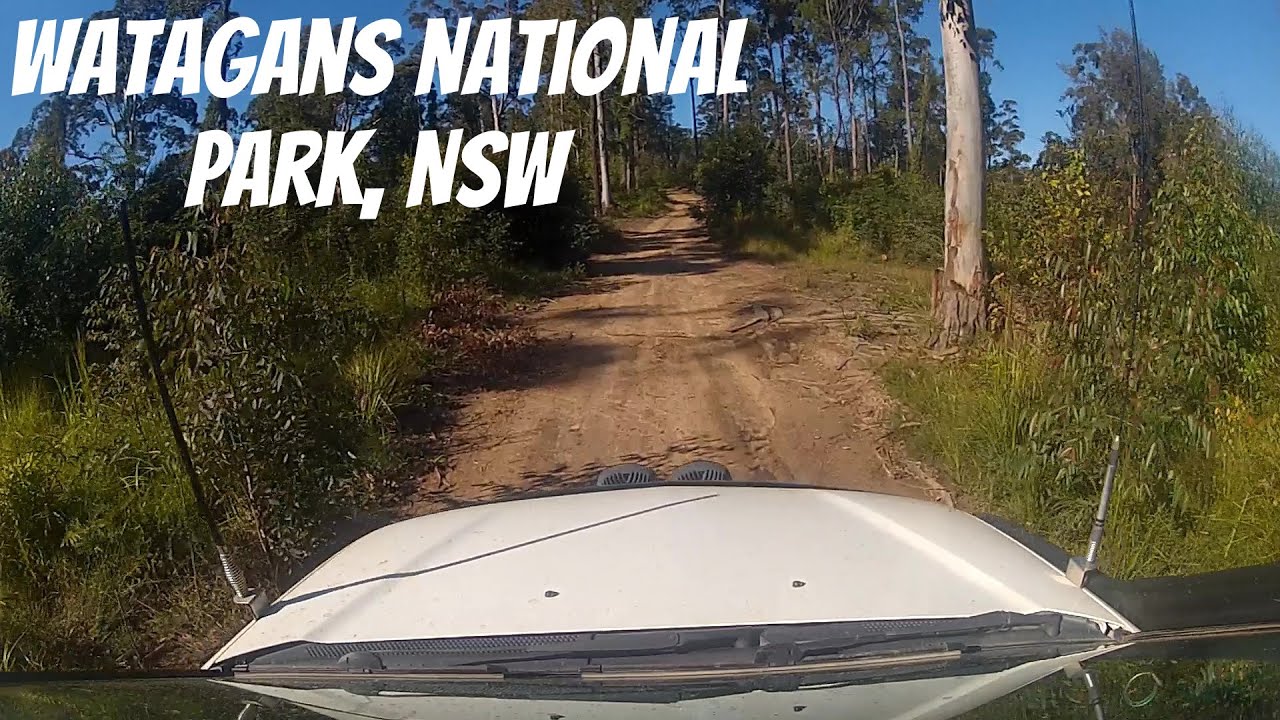 Watagans national park, NSW - YouTube