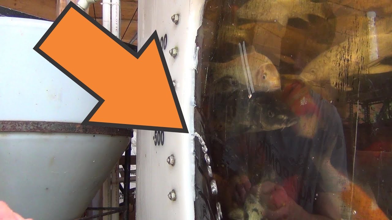 Tank Window Repair - Part 1 - YouTube