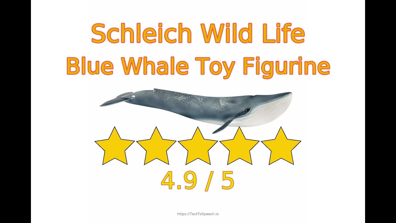 Let's review Schleich Wild Life Blue Whale Toy Figurine in 2026