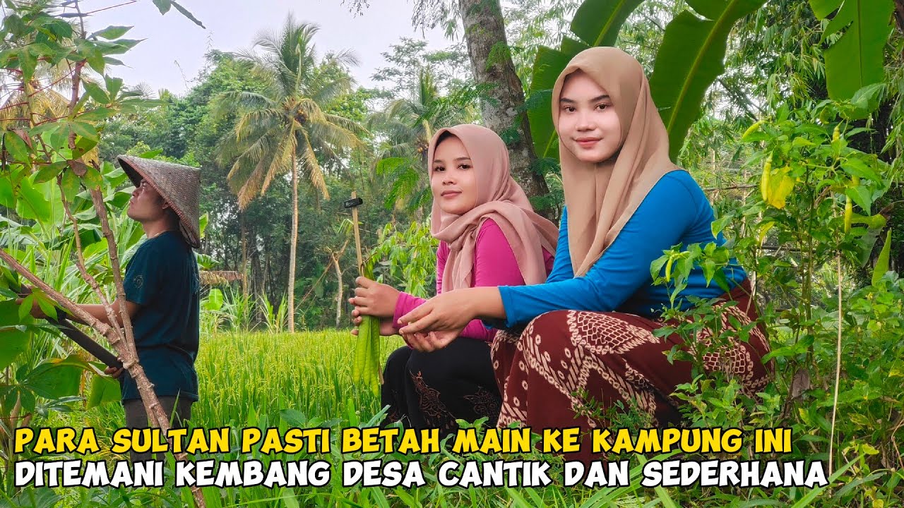 WOOW...BIKIN BAPER‼️DUDA GANTENG ASAL BANDUNG BETAH TINGGAL DI KAMPUNG DAN MAU MELAMAR KEMBANG ...