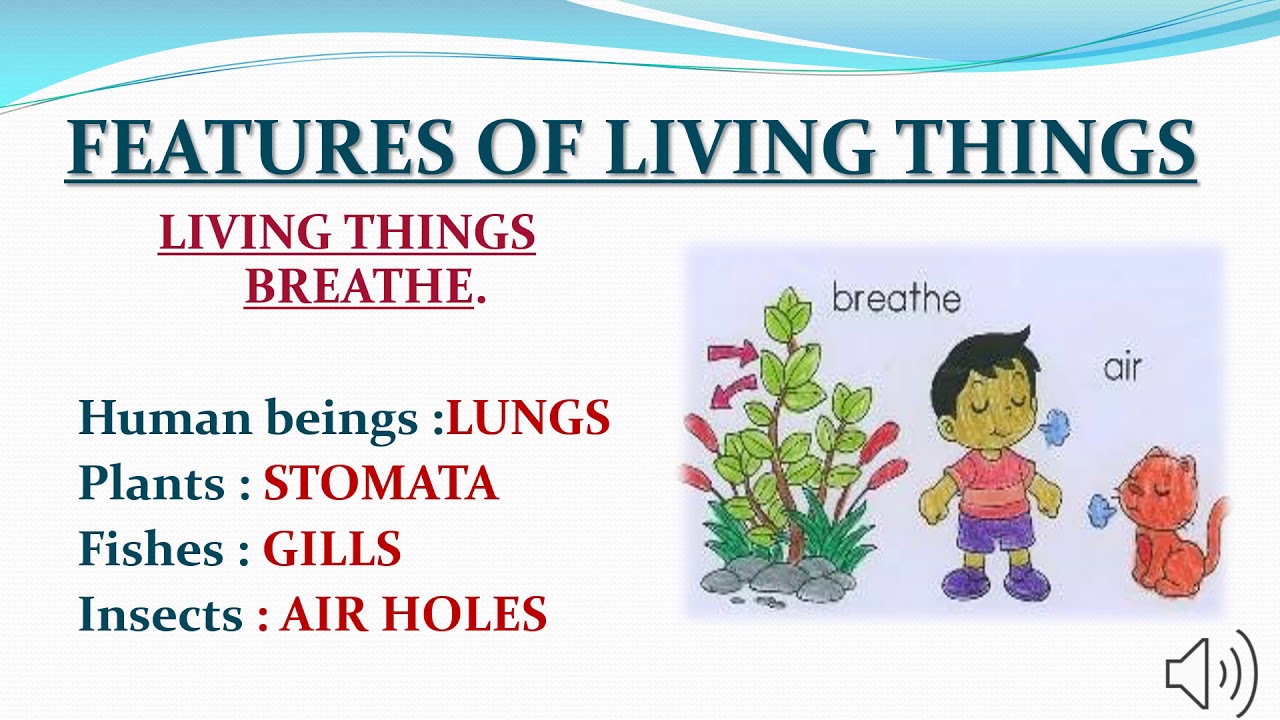 THE WORLD AROUND US (SCIENCE) - YouTube