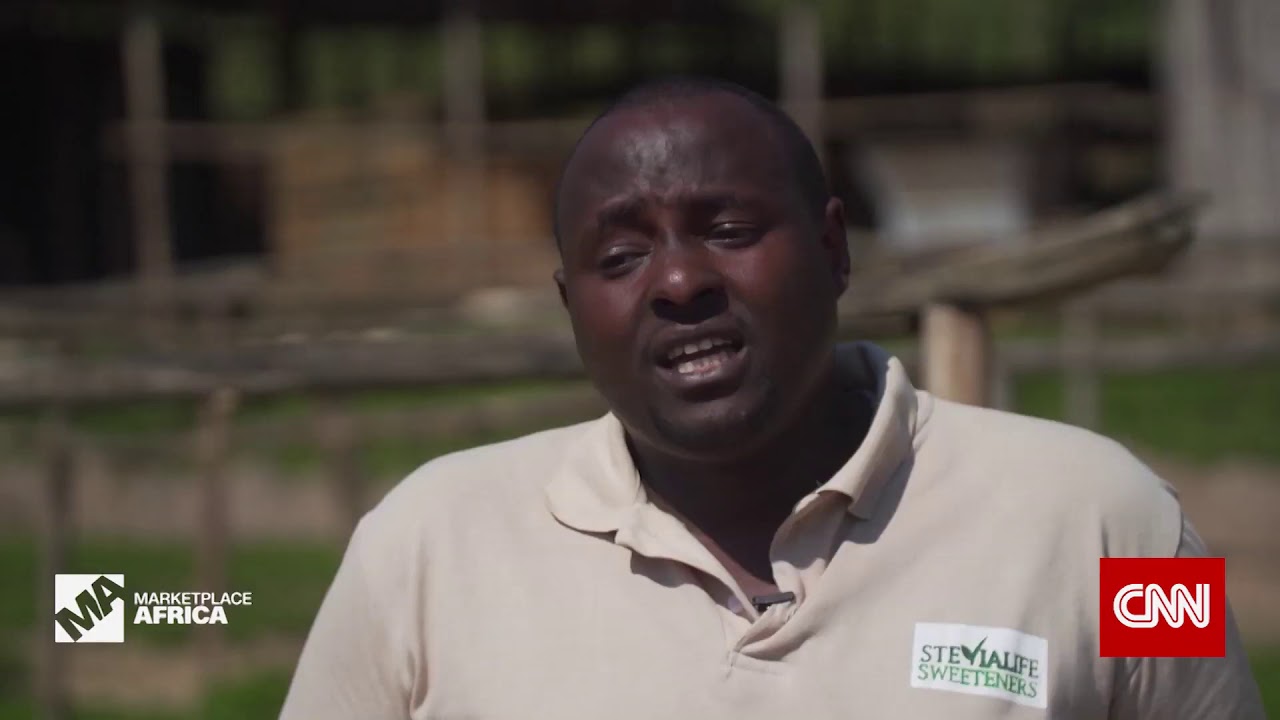 cnn marketplace africa rwanda stevia exports - YouTube