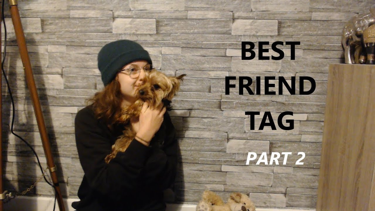 Best Friend Tag | Part 2 - YouTube