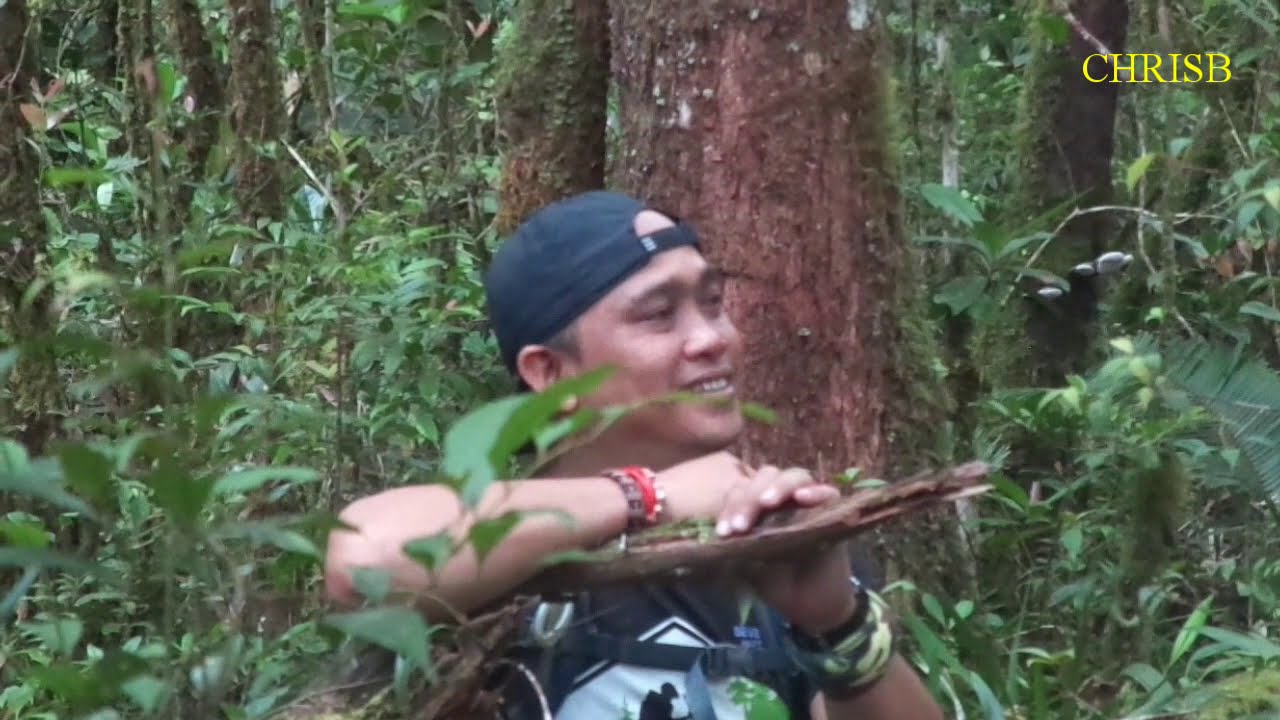 EXPLORING MT.SINSING TAMBUNAN (trail test 19-21 April 2019 ) - YouTube