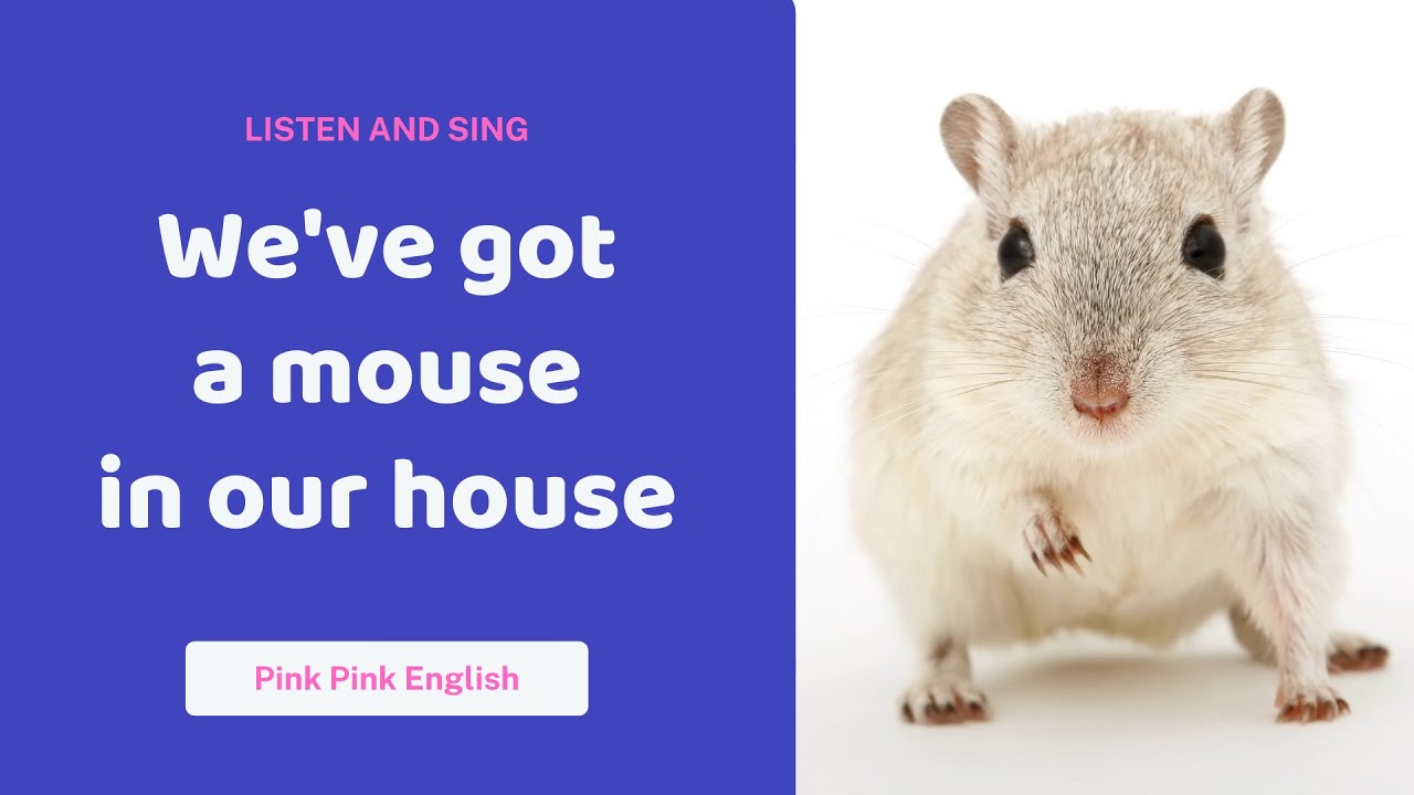 We've got a mouse in our house ~ Listen and Sing - YouTube