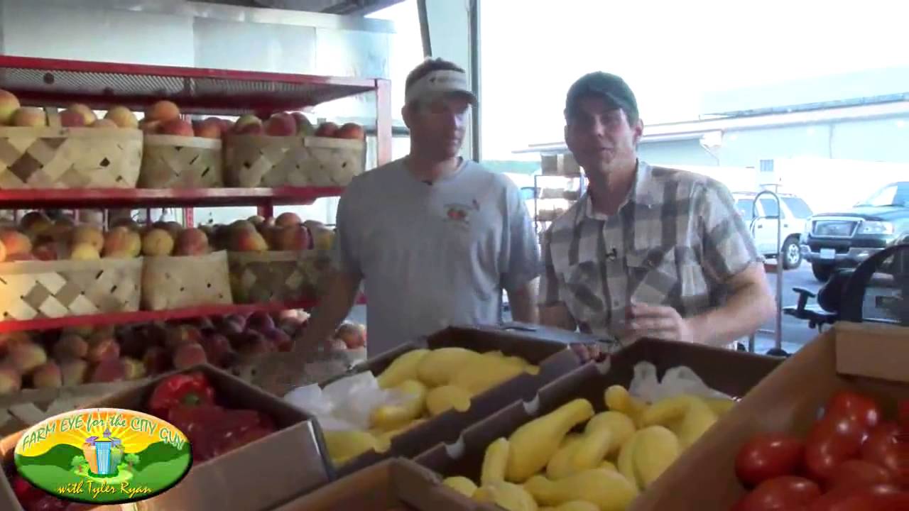 Farm Eye with Tyler Ryan The Freshest Fruit is at 4am - YouTube