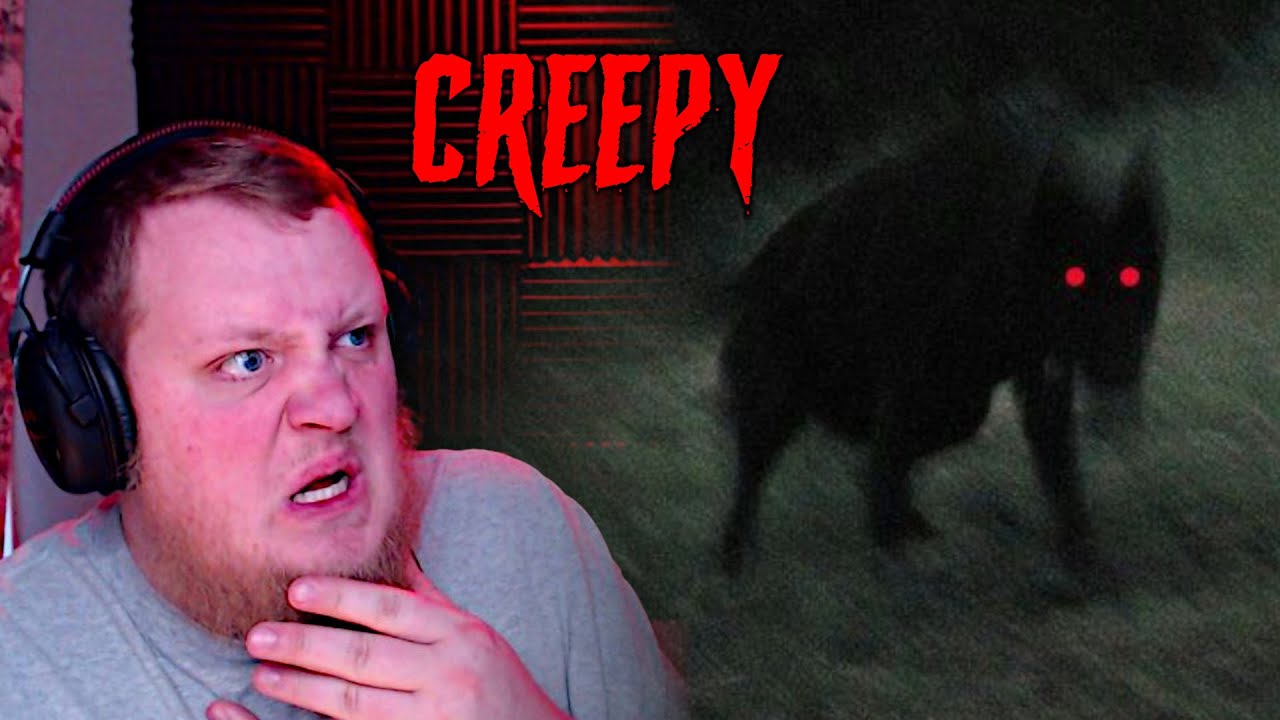 3 Disturbing TRUE Dog Walking Horror Stories (Mr Nightmare) REACTION ...
