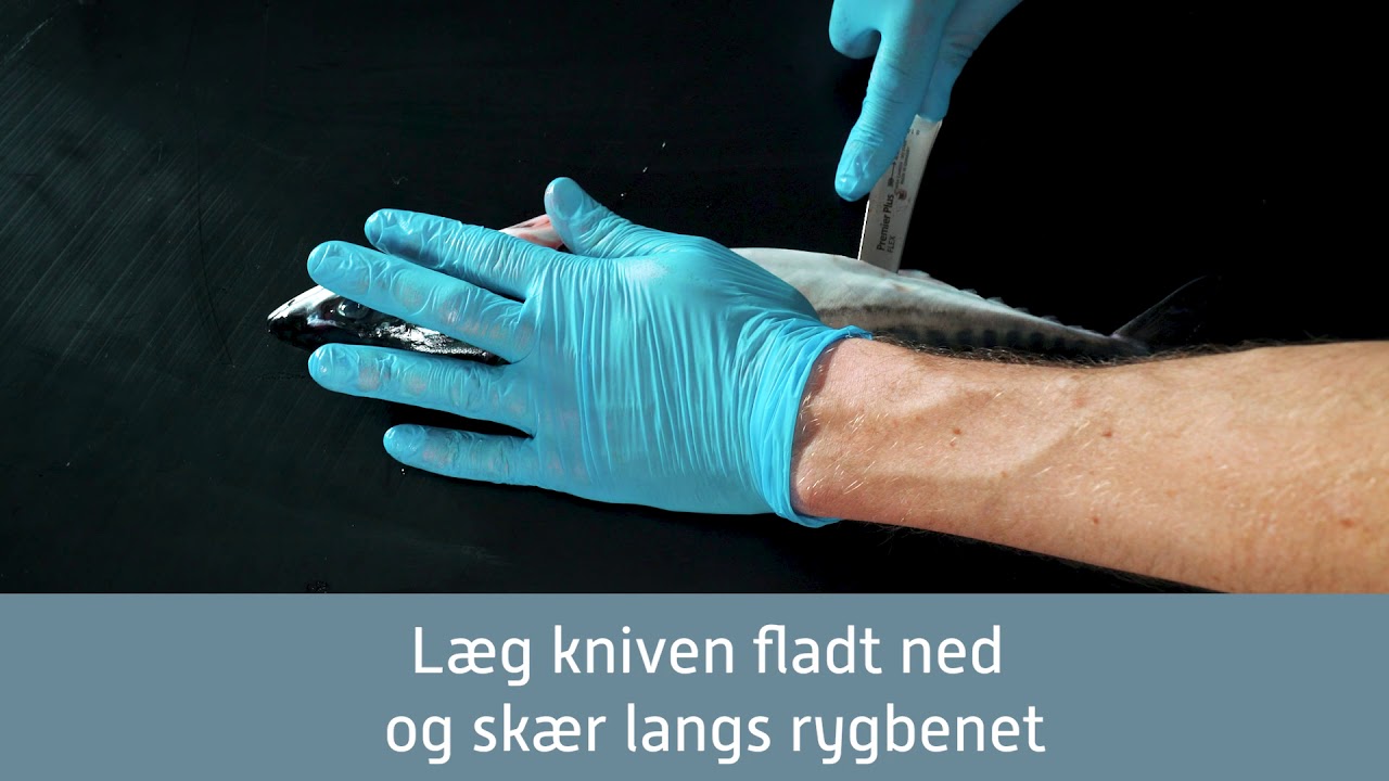 Sådan fileterer og klargør du en hel makrel - YouTube