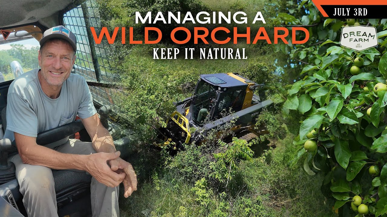 Managing a Wild Orchard - Letting Nature Run It's Course | Dream Farm w ...