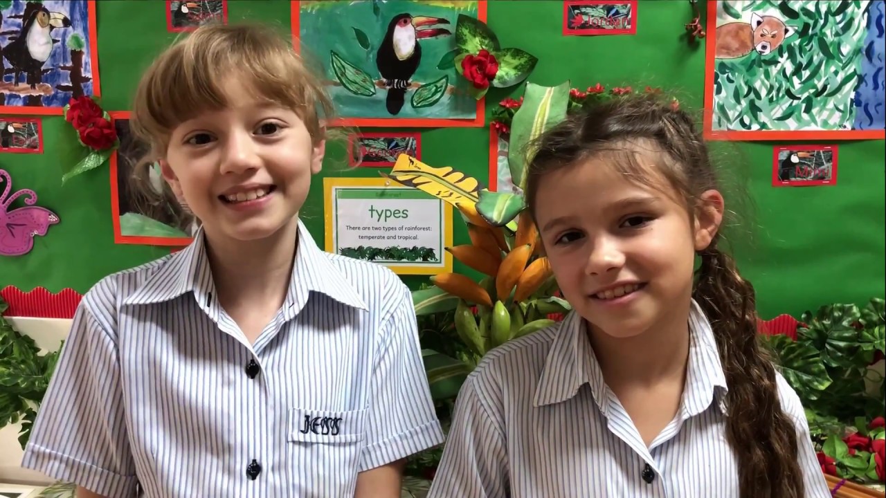 JESS Primary I Year 5 Rainforest VR - YouTube