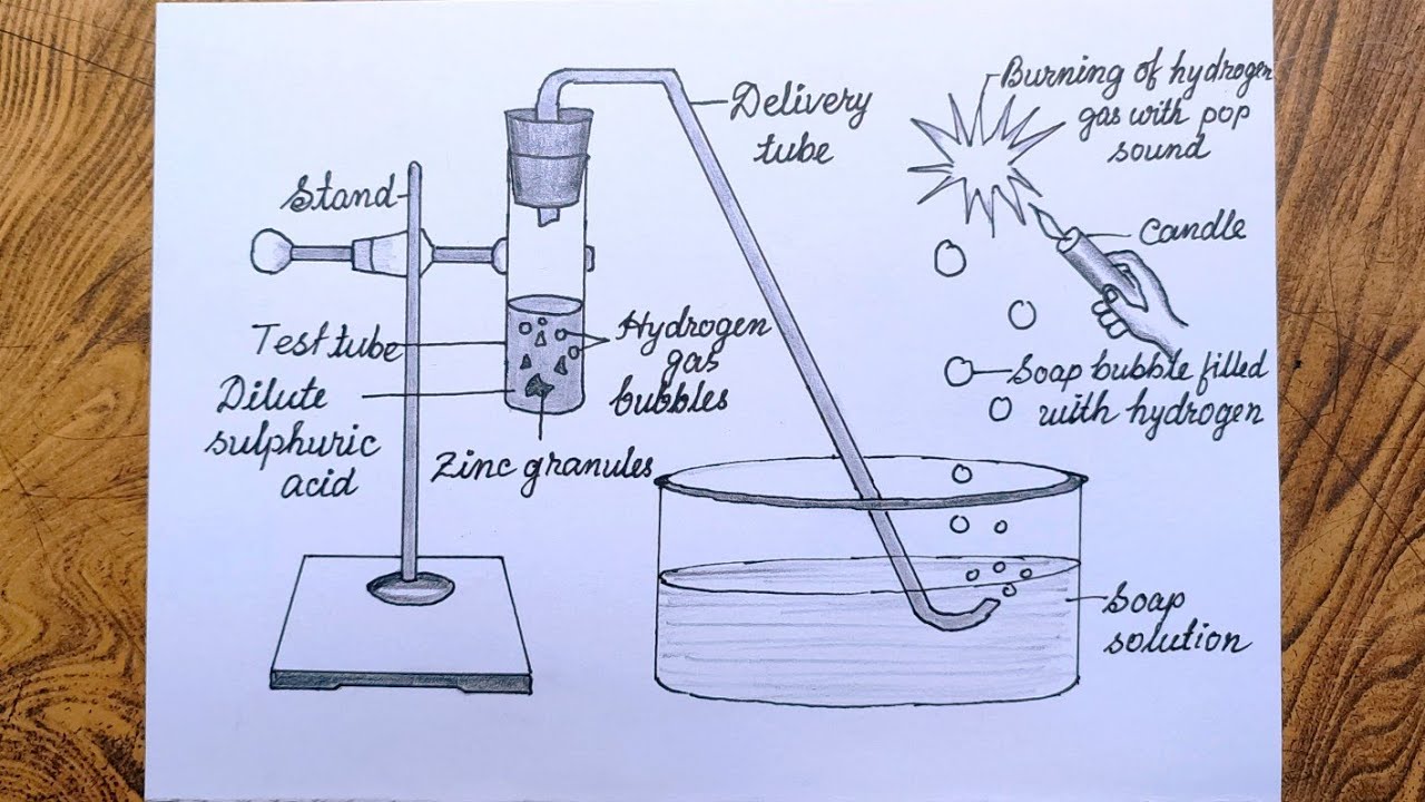 How To Draw Reaction Of Zinc Granules With Dilute Sulphuric Acid And ...
