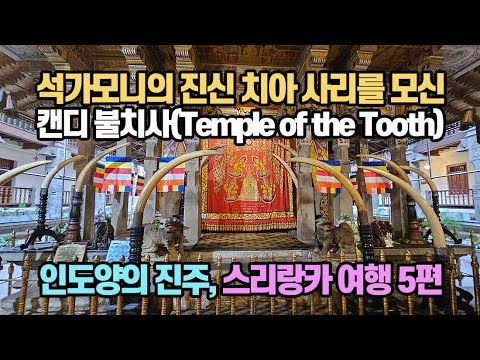 인도양의 진주, 스리랑카 여행 5편 | 석가모니의 진신 치아 사리를 모신 불치사 | Candy, Temple 0f the ...