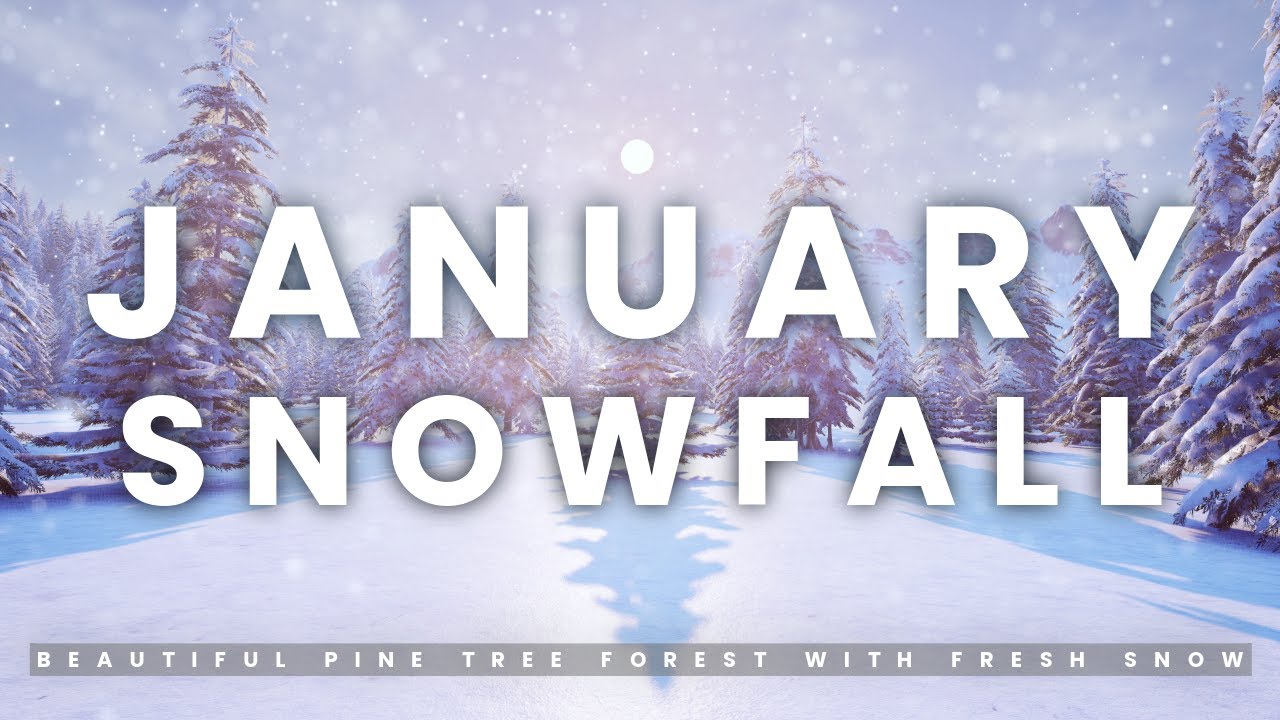LIVE: Relaxing Snowfall on a Beautiful January Day | Winter Ambience ...