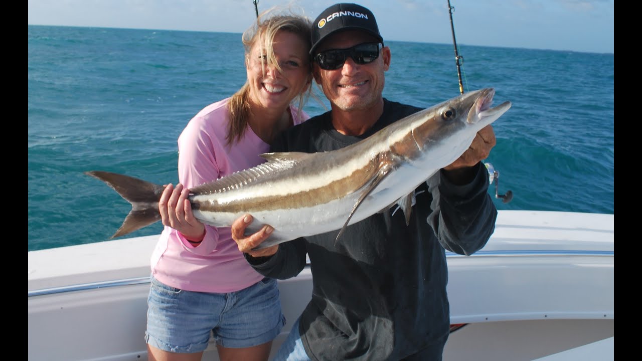 Best Cobia Fishing Lures and Baits - YouTube