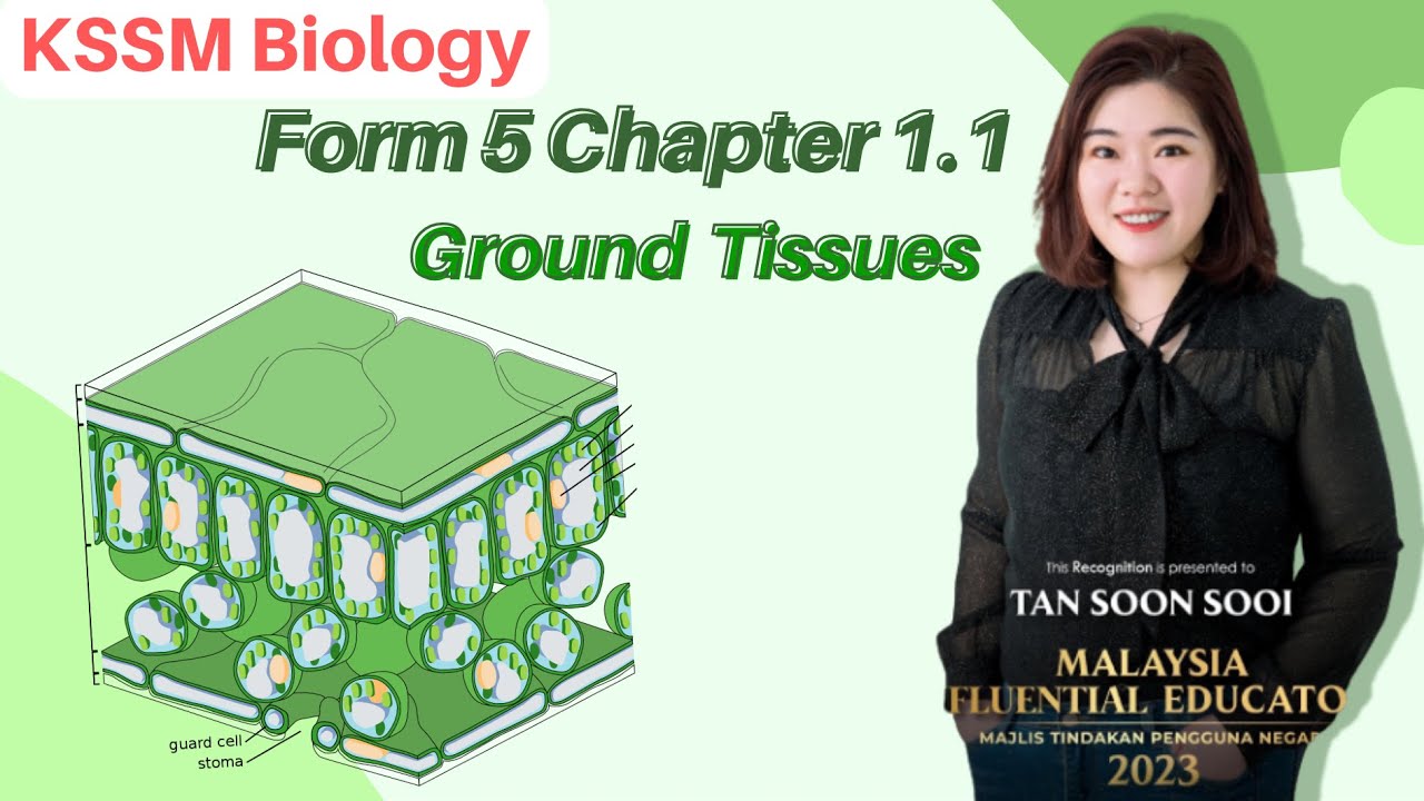 [English] KSSM Form 5 Biology Chapter 1.1 Ground Tissues (Note ...