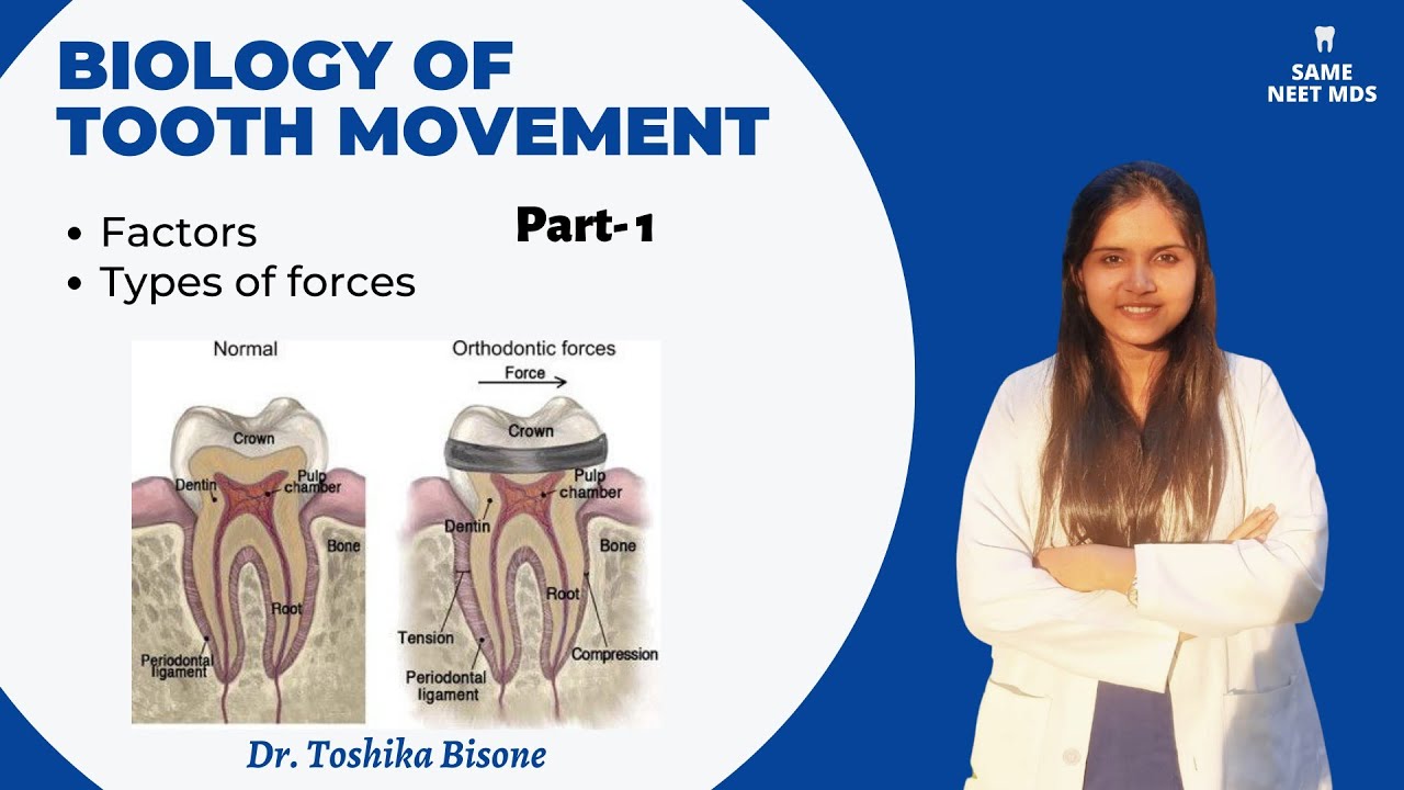 Biology of tooth movement | Part 1 - YouTube
