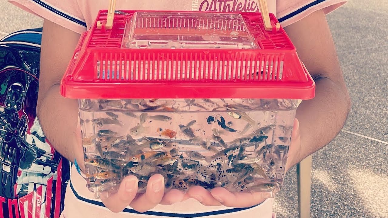 Maiden Longkang Fishing - YouTube