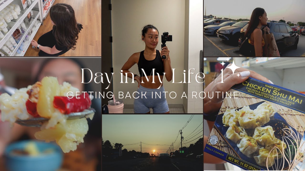 A Day in My Life - Back to the Gym, Fav Ab Workout, What I Eat ...