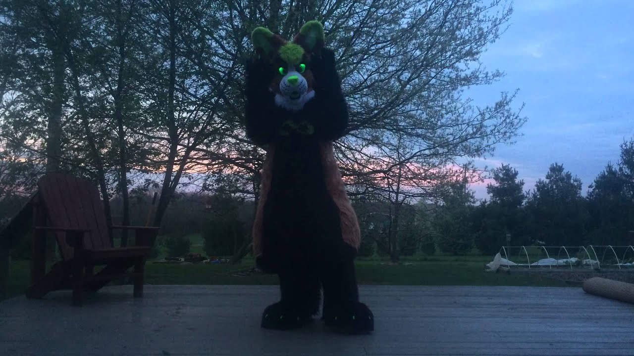 Corgi fursuit dancing video #1 - YouTube