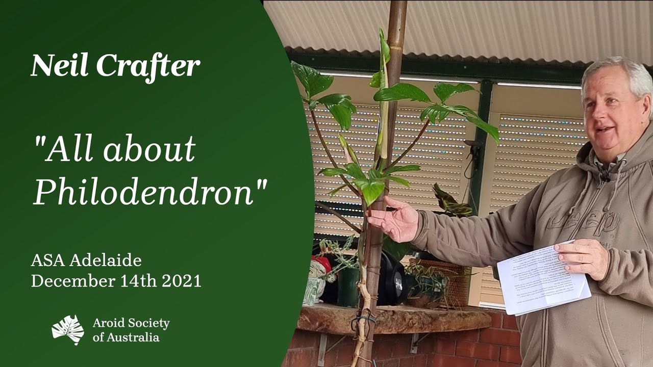 Speaker Neil Carter | Adelaide 2021 - YouTube