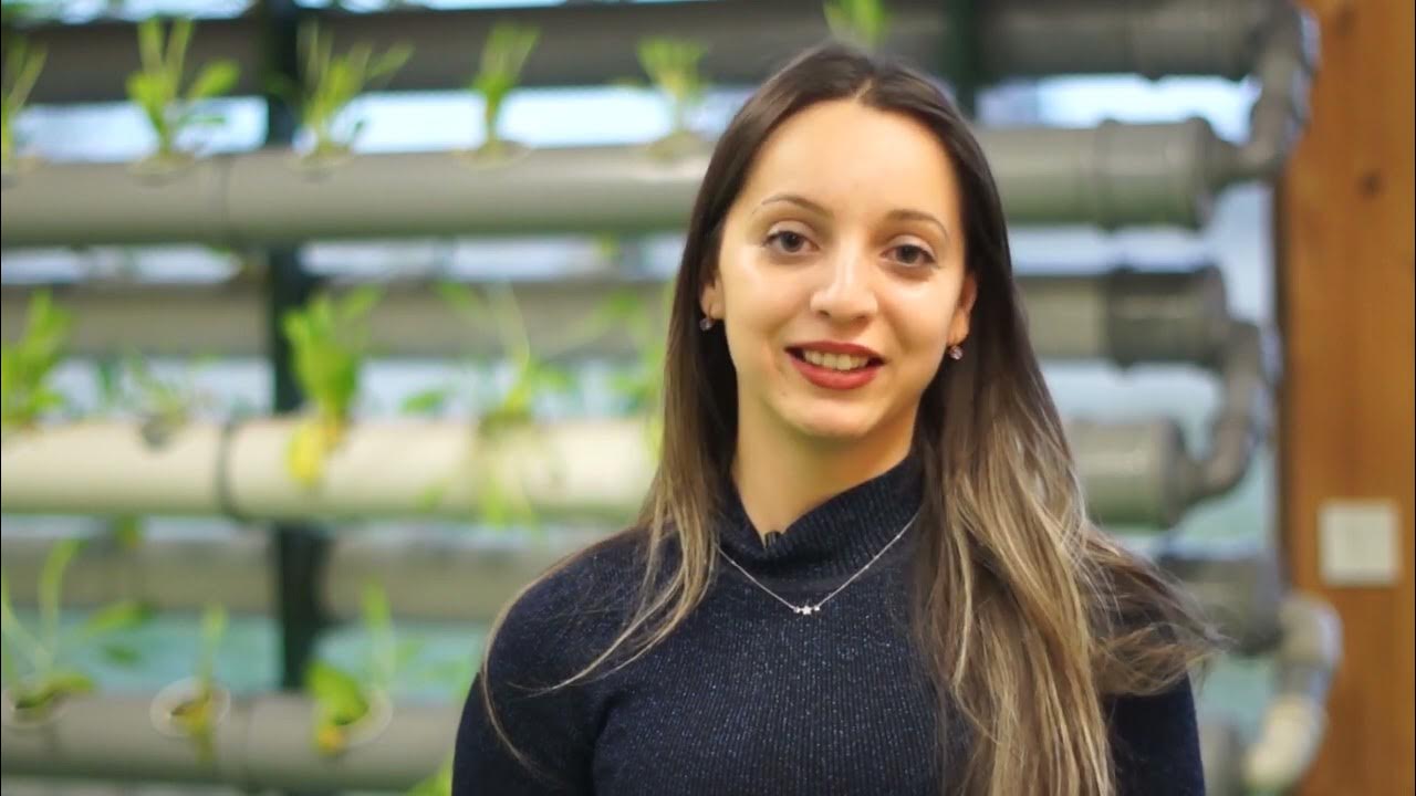 «Երիտասարդների հետ և երիտասարդության համար Youtube