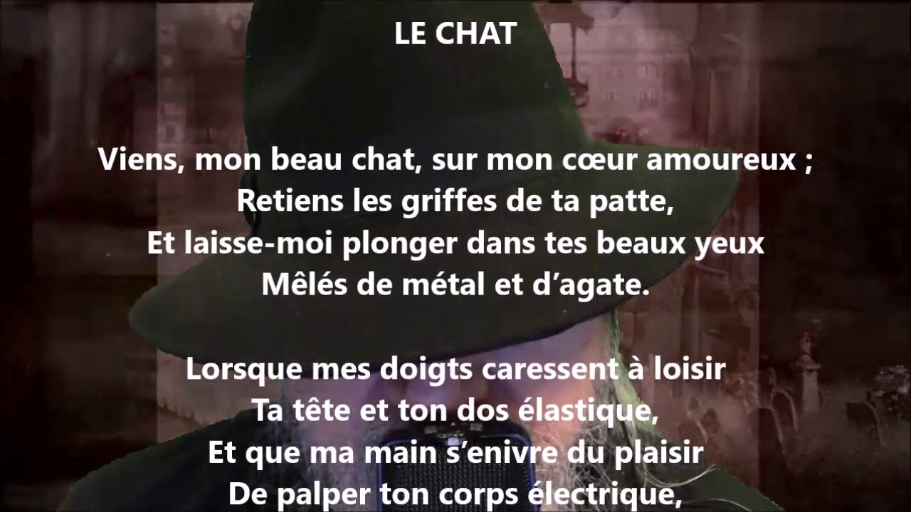 Le chat - Charles Baudelaire lu par Yvon Jean - YouTube