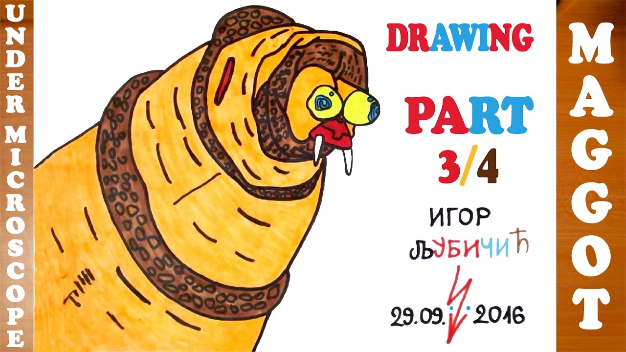 How to Draw a MAGGOT Under a Microscope Step by Step Easy and Color ...