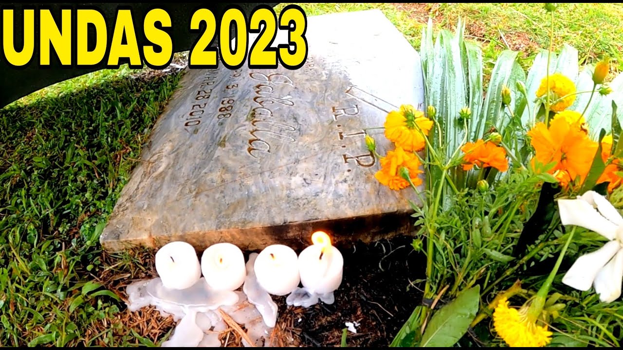 UNDAS 2023 - YouTube