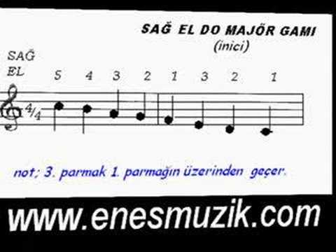 org dersi 6.lesson