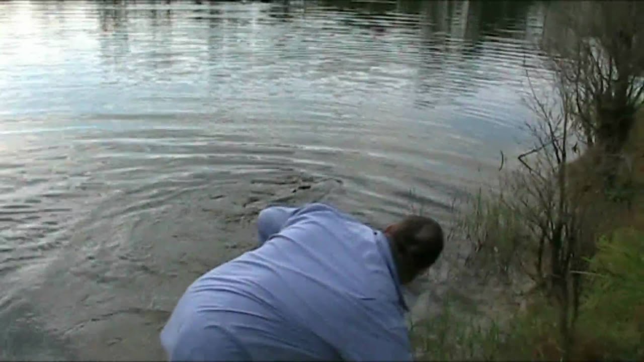 1m+ Murray Cod - YouTube