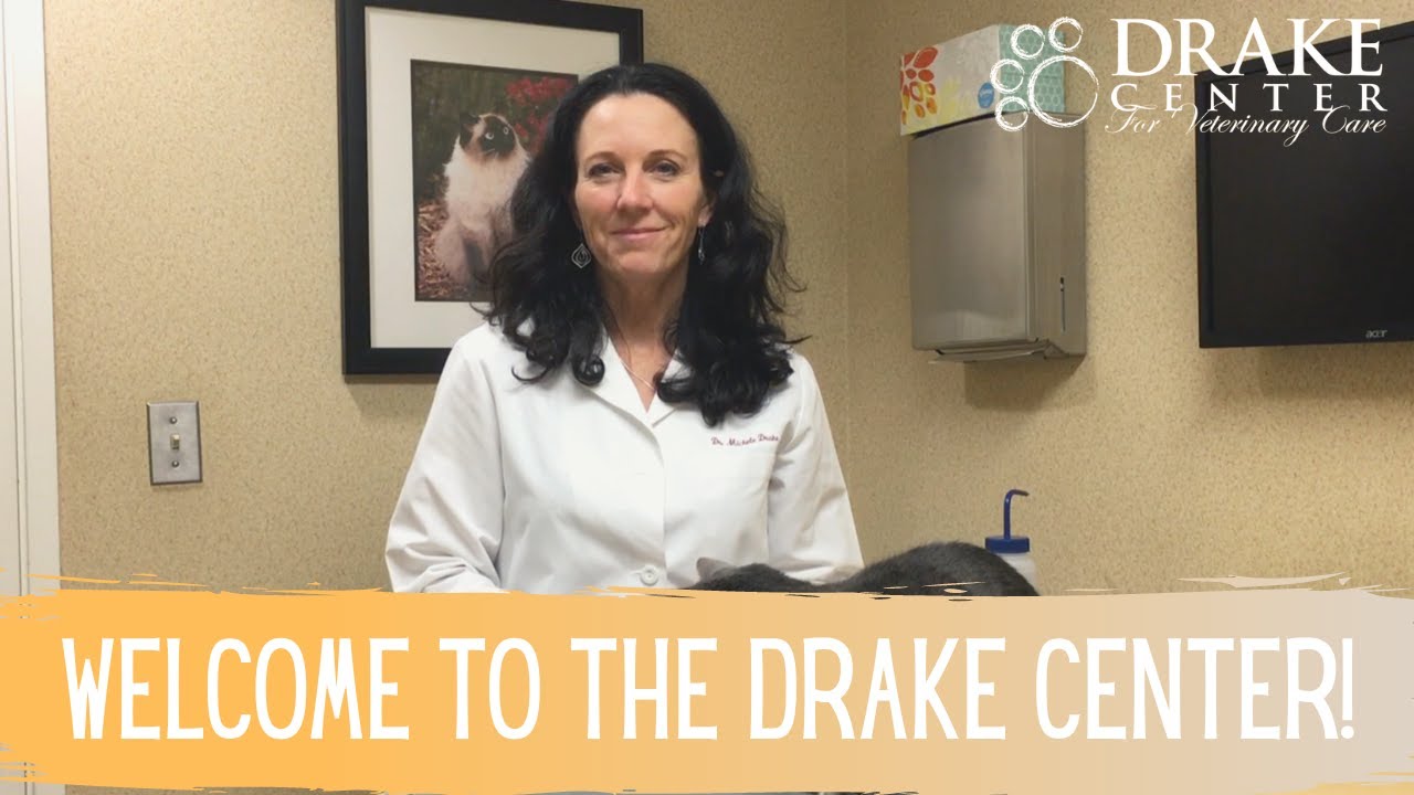 Welcome to The Drake Center! - YouTube