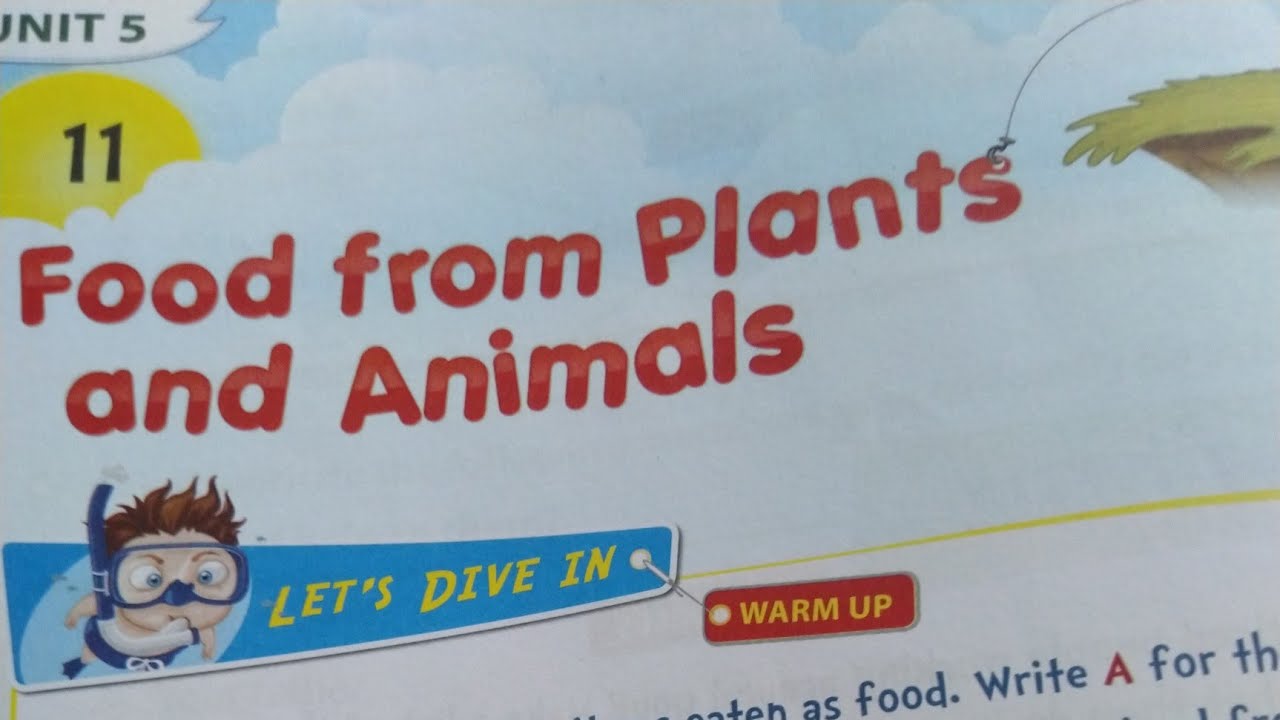 3rd Std EVS (Environmental Science ) CBSE TextBook Chapter 11" Food ...