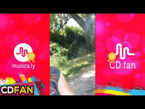 Musicly hot couple 2017