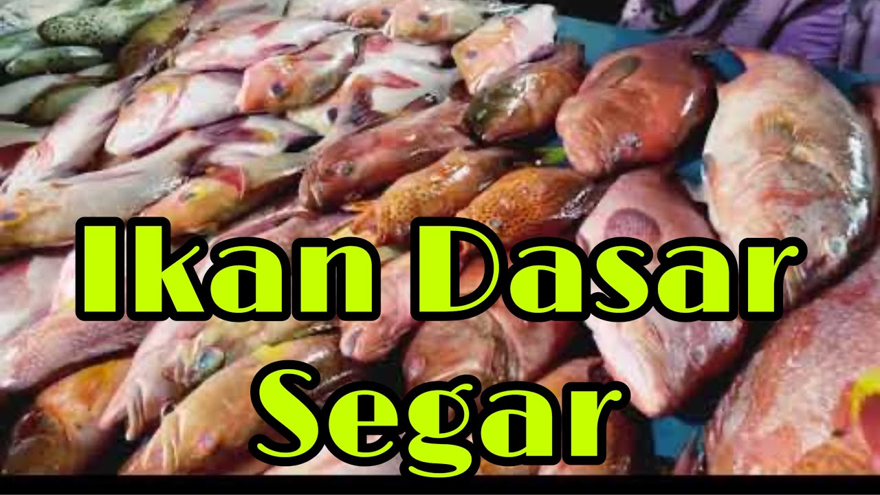 Pasar Gamalama Kota Ternate - YouTube