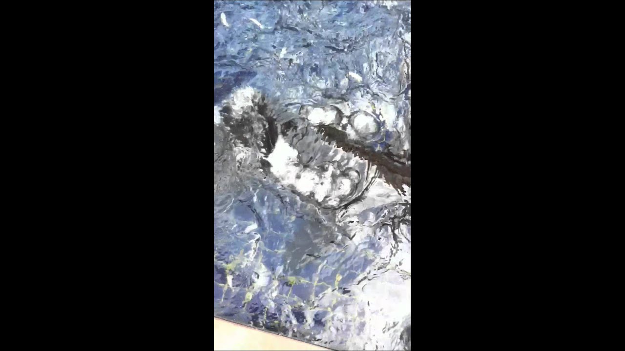 Huge arapaima gigas eating MUST SEE - YouTube