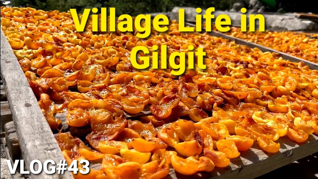 Village Life in Gilgit Pakistan | my mother | Gilgit Baltistan | VLOG ...