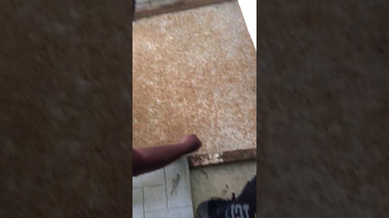 Normal Dapog Nursery - YouTube